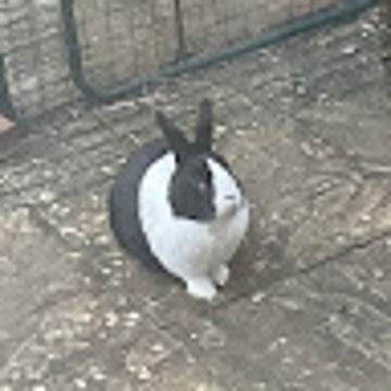 Emily Byron (@emmerling) • BandLab - Make Music Online