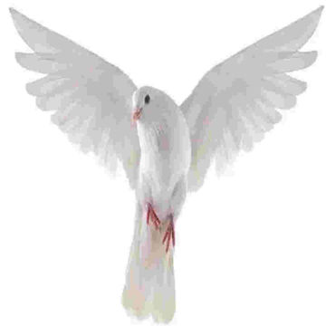 A post by christ | BandLab