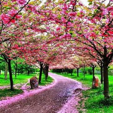 beats trap by Elizabeth Belen Villafuerte | BandLab