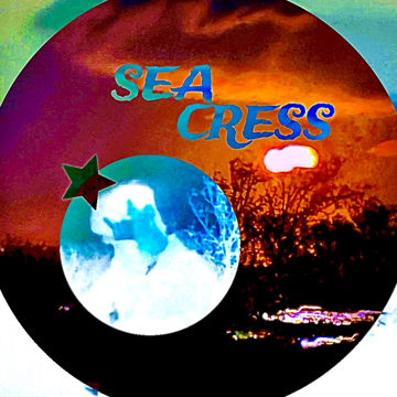 Sea Cress (@seacressofficial) • BandLab - Make Music Online