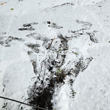 @koney_chuck) • BandLab - Make Music Online