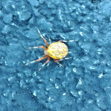 Let down by Ryan Ison | BandLab