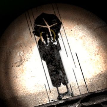 Interloper official album by Laura Carter | BandLab