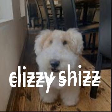 clizzy shizz by yung pinto (clizzy) | BandLab