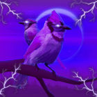 A post by 𝔹𝕃𝕌.𝕁𝔸𝕐(Official) | BandLab