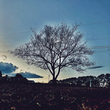 Megalovania (Xmas Cover) by Jason Conley | BandLab