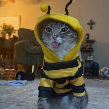 Ticky Tack, Take me back by F.A.T.H.E.R. Soup | BandLab