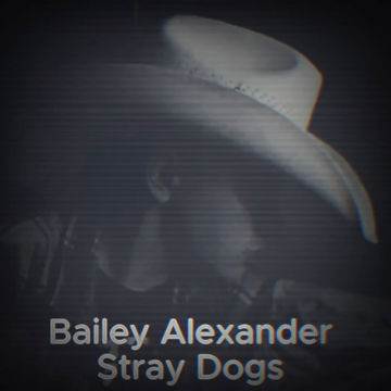 Stray Dogs by Bailey Alexander | BandLab