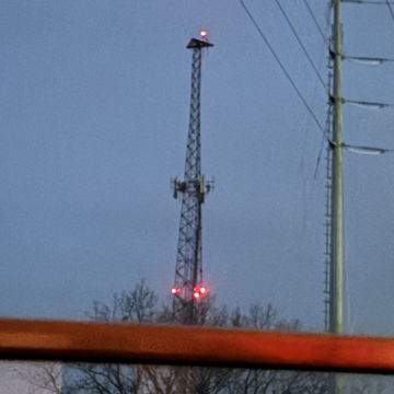 A post by Angel Fangs | BandLab